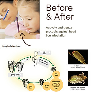 RAUSCH Willow Bark Treatment Shampoo 200 ml