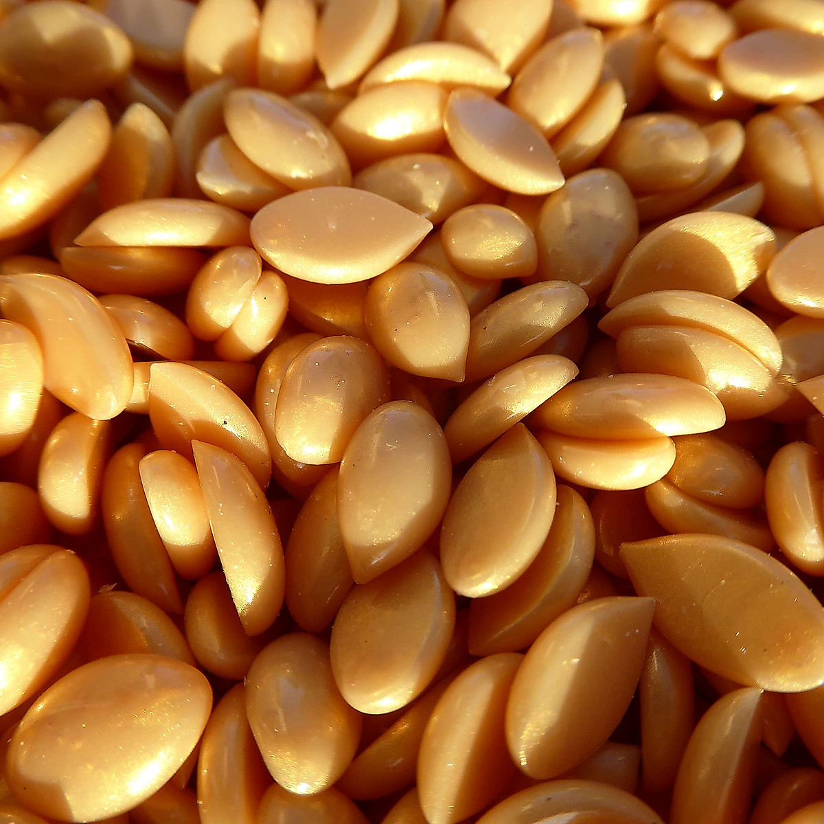 Waxness Premium Gold Rush Hard Wax 1.65 lb / 750 g