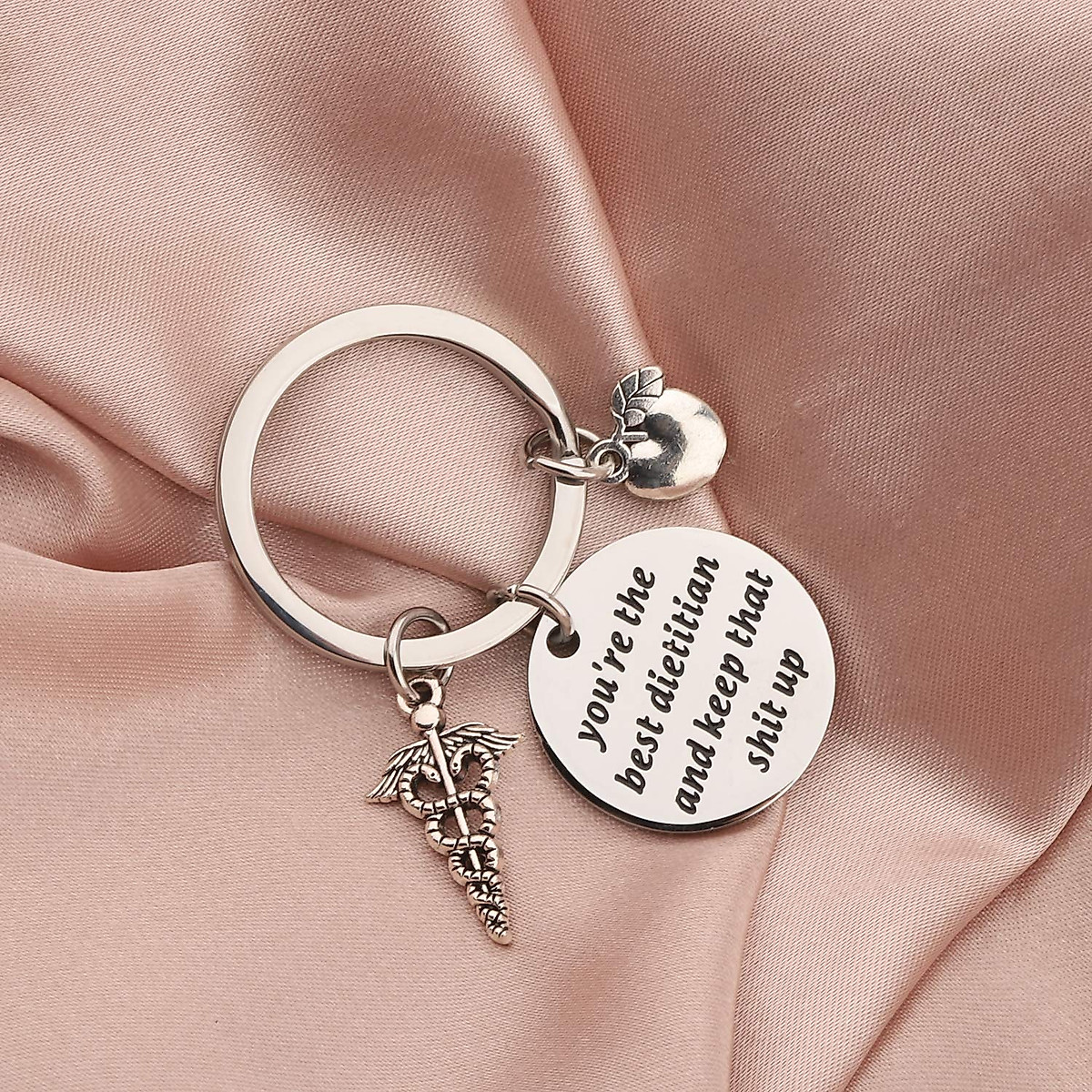 SEIRAA Dietitian Gift RD Registered Dietitian Gift You’re The Best Dietitian and Keep That Shit Up Keychain Retirement Gift for Food Teacher (best dietitian keychain)