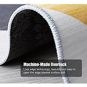 Gray & Blue Entry Carpet Runner Rugs for Hallway, 5 6 7 8 9 10 11 12 13 14 15 18 20ft Long, 2 2.6 3 4ft Wide, Washable Thin Floor Mat (0.6x3.4m/2x11ft)