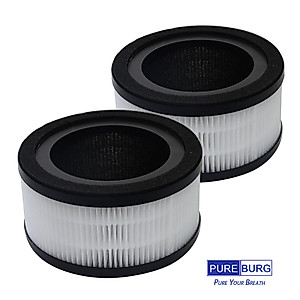 PUREBURG True HEPA Filter Compatible with InvisiClean IC-2010 Stella Air Purifier,H13 Replacement 4-Stage Filtration High-efficiency Activated carbon 2-IN-1 Air Clean Dust VOCs,2-Pack