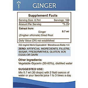 Secrets of the Tribe Ginger Tincture Alcohol-Free Extract, Ginger (Zingiber officinale) Dried Root 4 OZ