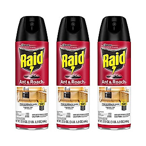 Raid Ant and Roach Killer Fragrance Free, 17.5 OZ (Pack - 3)