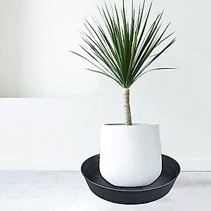 25 Inch Extra Large Plant Saucers, Extra-Deep 4.25 in Black Drip Trays for Flower Pot, Heavy Duty Drainage Tray Indoors No Holes, 2 Pack Plastic Planter Plate Water Catcher for Pots Base 20 21 22 in