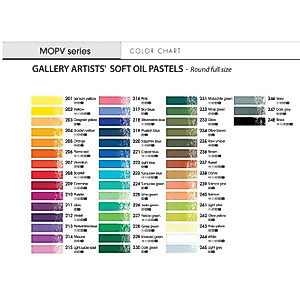 Mungyo Gallery Soft Oil Pastels Set of 48 - Assorted Colors