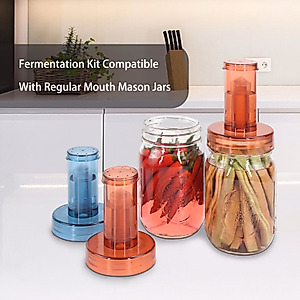 Fermentation Lids Compatible with Regular Mouth Mason Jar, Fermentation Kit for Regular Mouth Mason Jars Making Sauerkraut,Kimchi,Vegetable (4 Pack)