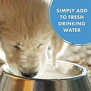 PetSilver Teeth & Gum Water Additive for Dogs & Cats, Eliminate Bad Breath, Natural Pet Dental Care Solution, Targets Tartar & Plaque, No Brushing, Chelated Silver, New Stronger Formula, 12 fl oz