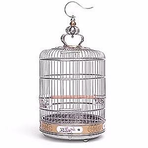 HYX US Large Bird Cage for Starlings Bird Cage Pet Parrot Round Stainless Steel Bird Cage A Bird Cage Suitable for Parrots and Canaries (Color : Silver, Size : 4452.5cm)