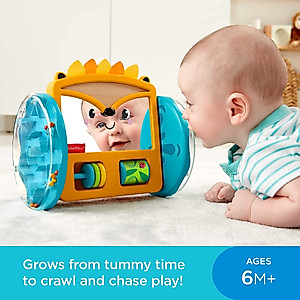 Fisher-Price Play & Crawl Hedgehog Mirror