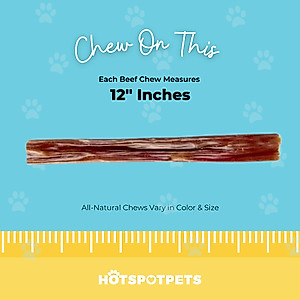 hotspot pets Premium Beef Gullet Sticks for Dogs 12" - All Natural Grass-Fed Beef Dog Chews, Rich in Glucosamine Chondroitin for Joint Health, Single Ingredient No Rawhide Dog Treats