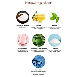 Baaww Paw Gel for Itch Relief | Hot Spot Treatment for Dogs & Cats | Dog Wound Care | Skin Yeast Infections, Ringworm, Cuts, Rashes (40 ML)