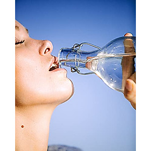 Watts Premier 500145 Plex Replacement, 2-Pack, 2 Count (Pack of 1), Plain