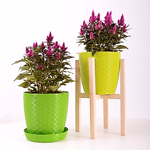 Professional Liquid Indoor Plant Fertilizer | 3-1-2 Concentrate for Plants and Flowers | Multi-Purpose Blend & Gardening Supplies | 8 oz Bottle