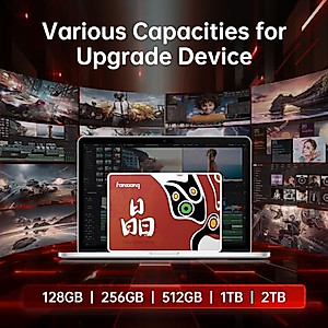 fanxiang 1TB SSD SATA III 2.5" Internal Solid State Drive, Read Speed up to 550MB/s, Reliable Storage for Laptop and PC