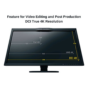 Eizo ColorEdge CG319X 31.1" Wide Screen Hardware Calibration IPS LED 4K Monitor, 4096x2160
