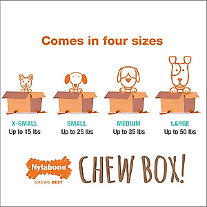 Nylabone Chew Toy Dog Surprise Box Variety X-Small/Petite (1 Count) All Breed Sizes