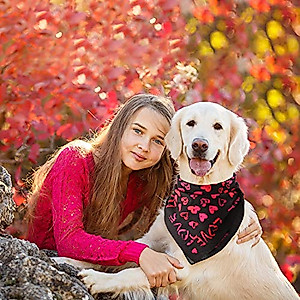 4 Pieces Valentine's Day Dog Bandana Heart Pet Neckerchief Square Pet Holiday Scarf Washable Triangle Dog Scarf Bibs for Dogs and Cats