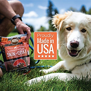 Smart Cookie All Natural Dog Treats - Healthy Skin & Coat Salmon Dog Treats - Ideal for Sensitive Stomachs or Itchy, Allergic, Dry Skin - Dehydrated, Crunchy, Human-Grade, Made in USA - 8oz, Pack of 1