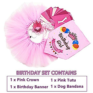 ADOGGYGO Dog Birthday Bandana Girl - Birthday Party Supplies - Pink Tutu Skirt Crown Hat Scarf Happy Birthday Banner Dog Girl Birthday Outfit for Pet Puppy Cat Girl (Pink)