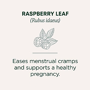 Traditional Medicinals Tea, Organic Raspberry Leaf, Eases Menstrual Cramps, Supports a Healthy Pregnancy, 96 Tea Bags (6 Pack)