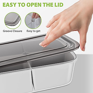 Freshmage® Veggie Tray with Lid, Small Divided Serving Tray Container with 4 Removable Compartments for Food Storage of Fruits/Vegetables/Snacks, DISHWASHER SAFE & BPA-FREE