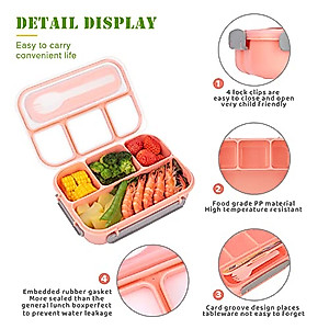 Vensp Adult Lunch Bento Box, lunch Boxes for School, Toddler/Kids/Adults, 1300ml-with 4 Compartments&Fork, Leak-Proof, Men Women lunch box, Microwave/Dishwasher/Freezer Safe, Bpa-Free(Pink)
