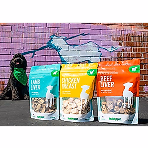 Healthy Spot / Mind Body Bowl - 2.5 oz Chicken Breast Freeze-Dried Treats - Healthy Snacks for Dogs and Cats, 1 Pack