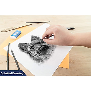 Pacific Arc Artist Vine Charcoal, Soft, Black 4 Charcoal Sticks for Drawing, Sketching, and Fine Art