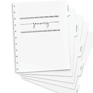 BetterNote Dividers for Disc Notebook, Monthly Discbound Index Tabs for Calendar, Fits Disc Notebook, Levenger Circa, Arc, Happy Planner, TUL by Office Depot, Talia (Modern, 11-Disc, 8.5"x11")