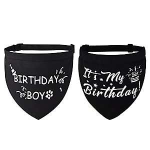 Dog Birthday Party Supplies Birthday Boy Dog Bandana Black Its My Birthday Dog Bandana for Small Medium Large Dogs Pets Outfits