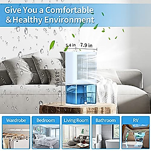 68oz 7900 Cubic Feet（810 Sq.ft）Dehumidifiers for Home Bathroom Room Basements,Quiet Dehumidifier With Drain Hose & Auto Shut Off, Portable Small Dehumidifiers for Bedroom Closet RV