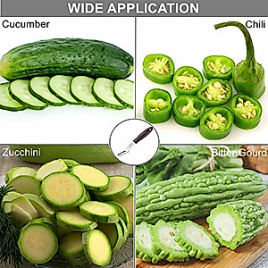 JIANYI Kitchen 2-in-1 Jalapeno Corer, 18/8 Stainless Steel Bell Pepper Corer Tool Remover with Serrated Edges & Soft Rubber Handle, Jalapeno Pepper Deseeder For Removing Vegetable Tops & Seeds