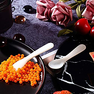 Set of Caviar Spoons Shell Spoon Mother of Pearl Caviar Spoons W Round Handle for Caviar, Egg, Ice Cream, Coffee, Restaurant Serving (2 Pieces,3.54 Inches)