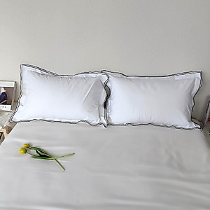 RANZNAZ Set of 2 Elegant Embroidery Pillowcases, Queen Size, 100% Cotton - White Good Feeling Shams, Elegant Trims, Softer and Breathable Pillow Covers, 20x30 inches