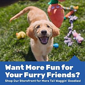 AMZpets 10 Dog Toys for Small Dogs and Puppies, Squeaky Dog Toys Rope Toys for Plush Games, with Chewing Ropes/Balls/Rubber Bone/Carry Bag, Variety Playing Toys Set for Toss and Tug Play