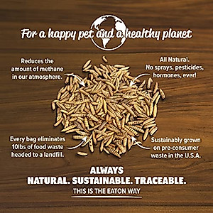 Eaton Pet & Pasture, USA Premium Dried Black Soldier Fly Larvae 1 LB, High Calcium Treat for Chickens, Ducks, Wild Birds