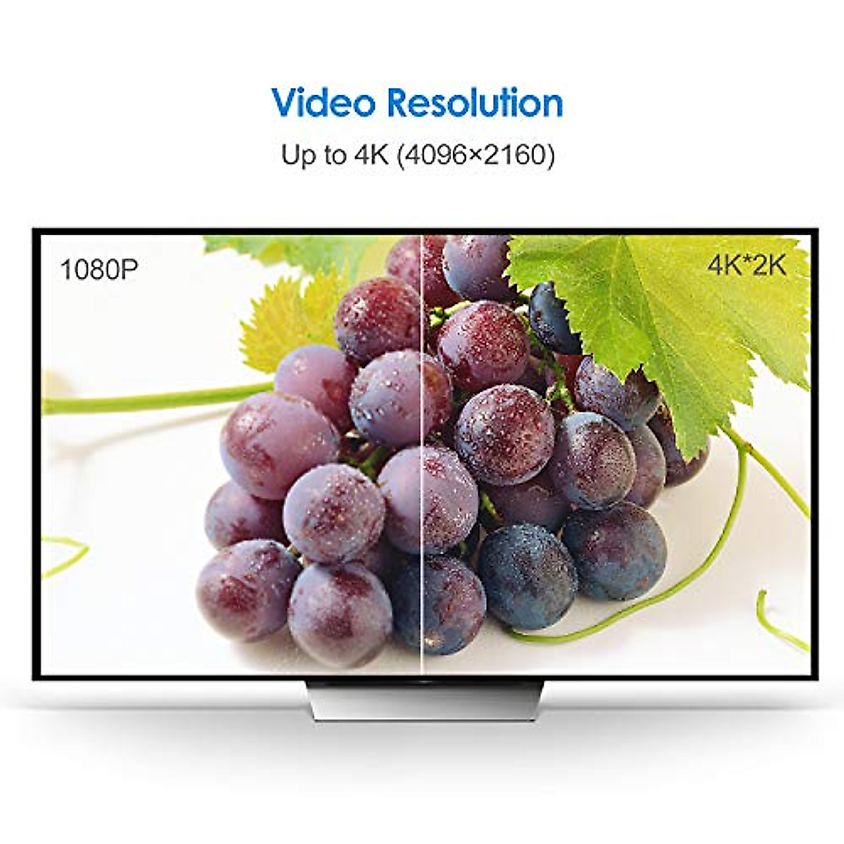 Rankie DisplayPort to DisplayPort Cable, DP to DP, 4K Resolution, 6 Feet, Black