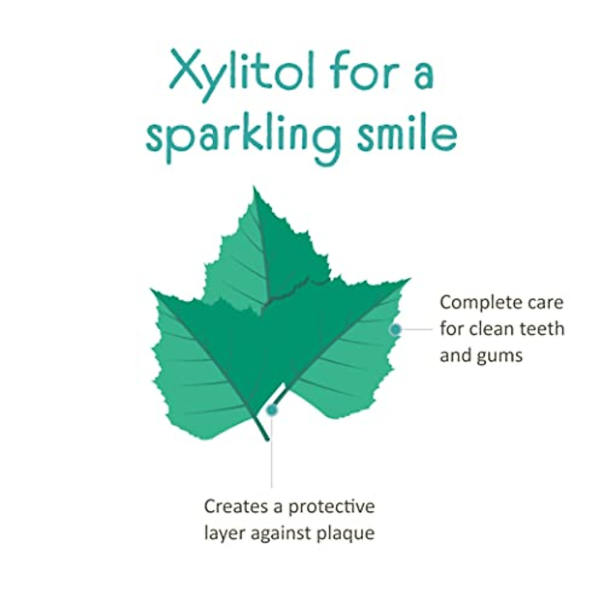 Himalaya Botanique Kids Toothpaste, Cool Mint, Fluoride-Free, Gentle, No Artificial Colors, SLS Free, Gluten Free, Cruelty Free, Vegan, Foaming, 4 Oz, 1 Pack…