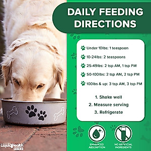 LIQUIDHEALTH 32 Oz K9 Liquid Glucosamine for Dogs, Puppies and Senior Canines - Chondroitin, MSM, Hyaluronic Acid – Joint Health, Dog Vitamins Hip Joint Juice, Dog Joint Oil (2-Pack)