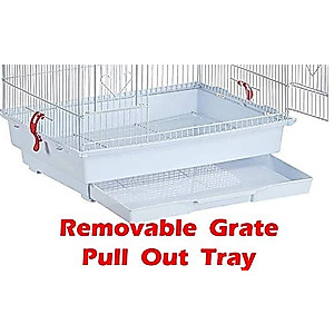 66-Inch Open Top Flight Bird Cage for Cockatiel Quaker Parrot Sun Parakeet Green Cheek Conures Finch Budgie Lovebird Parrotlet Canary Finch Pet Bird Cage with Rolling Stand