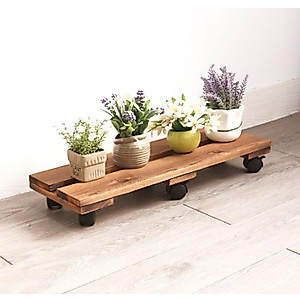 Plant Stands with Wheels, Plant Dolly with Wheels, Plant Roller, Heavy Duty Plant Caddy Caster for Patio Outdoors, Holds Up to 100 Lbs, 7.9 x 19.7 Inch