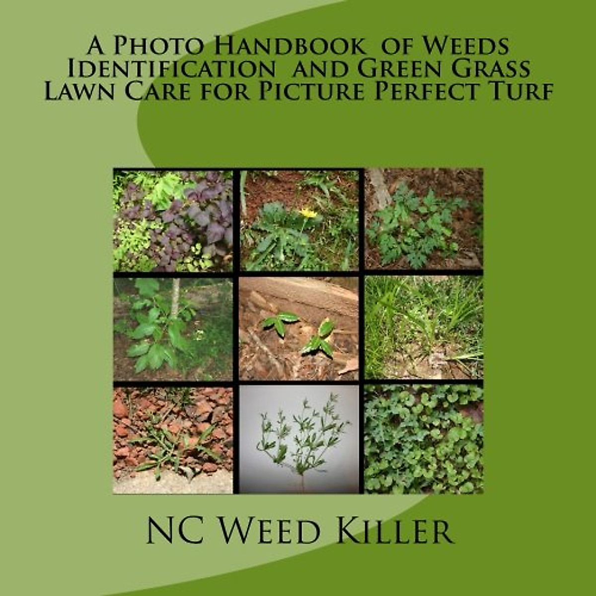 A Photo Handbook of Weeds Identification and Green Grass Lawn Care for Picture Perfect Turf