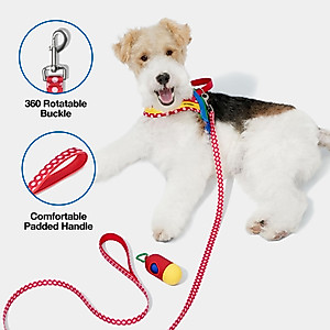 VETRESKA Dog Harness and Leash Set, No-Pull Puppy Harness for Walking and Training, Easy Walk Dog Harness for Small Medium Dogs, Adjustable, Take Control & Anti-Twist Pet Lead Combo (MoMA Red, S)