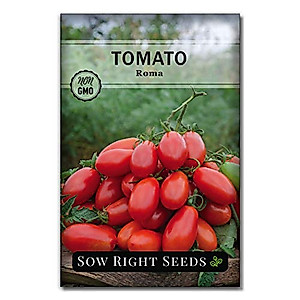 Sow Right Seeds - Classic Tomato Seed Collection for Planting - Cherokee Purple, White Cherry, Large Red Cherry, Marglobe, and Roma Tomatoes - Non-GMO Heirloom Varieties Plant a Home Vegetable Garden