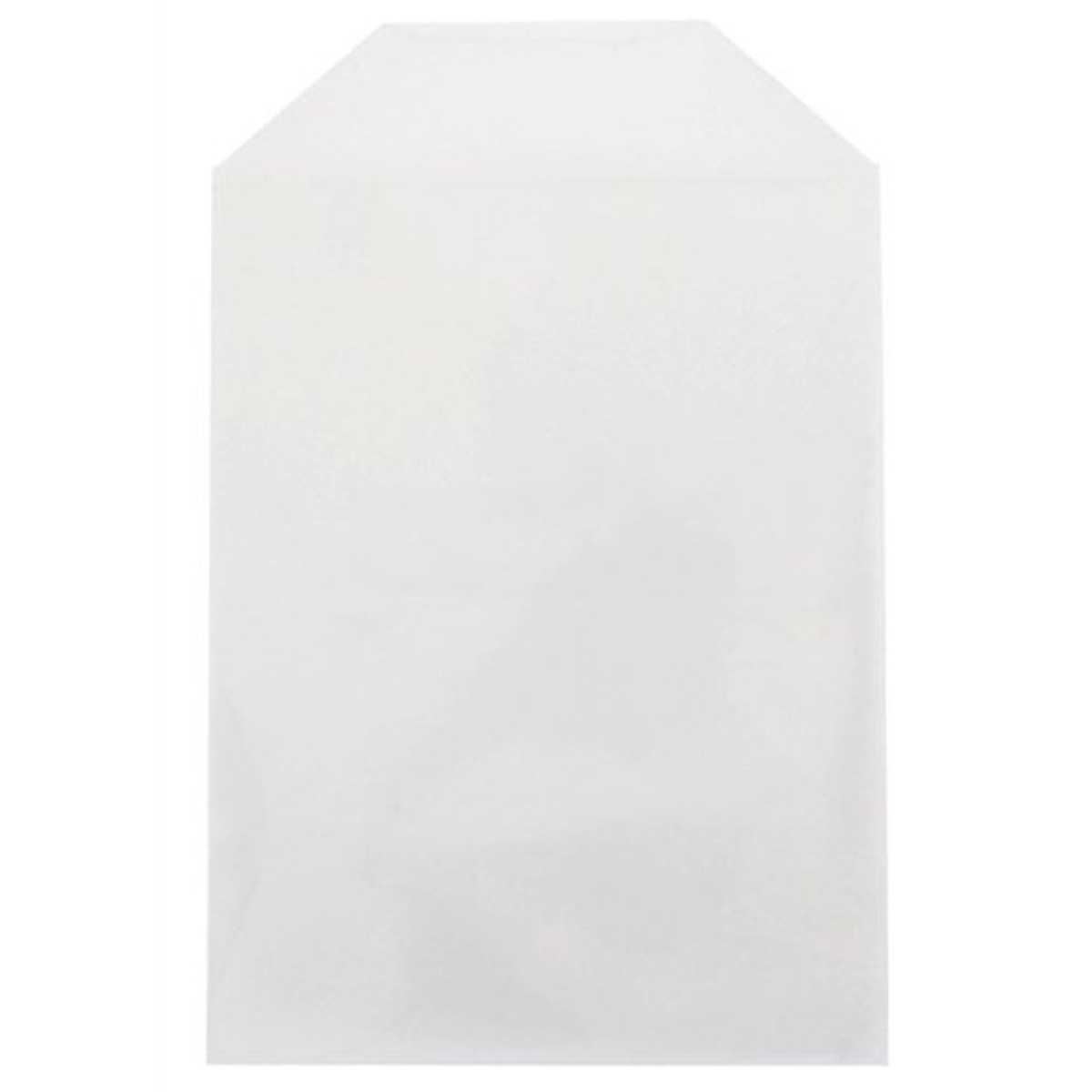 CheckOutStore 50 Clear Storage Pockets (5 5/8 x 7 3/8)