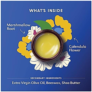 Motherlove Nipple Cream (2 oz) Organic Lanolin-Free Nipple Cream for Breastfeeding—Benefits Nursing & Pumping Moms