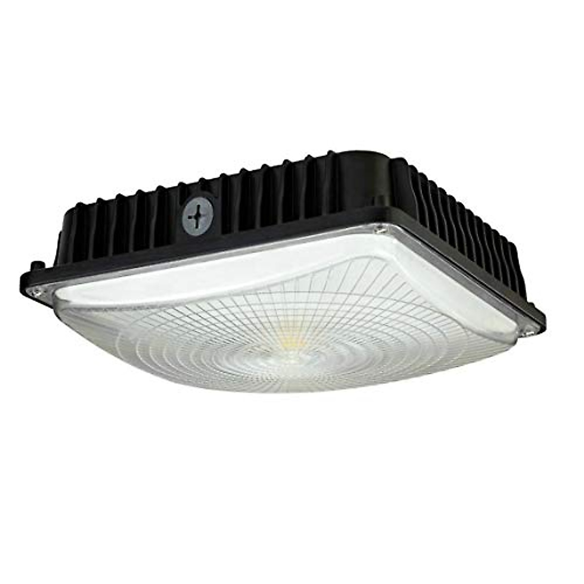 CYLED 100W LED Canopy Light Industrial Waterproof Outdoor High Bay Balcony Car Park Lane Gas Station Ceiling Light Equivalent 250W HID/HPS 6500 Lm 6000K DLC Qualified
