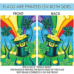 Toland Home Garden 112572 Hat 'O Gold St Patricks Day Flag 12x18 Inch Double Sided St Patricks Day Garden Flag for Outdoor House St Pats Flag Yard Decoration