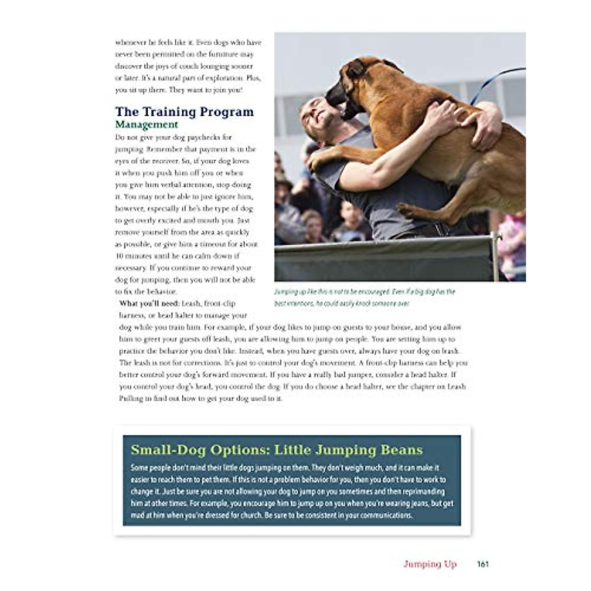 The Dog Behavior Problem Solver: Step-by-Step Positive Training Techniques to Correct More than 20 Problem Behaviors (CompanionHouse Books) Fix Barking, Separation Anxiety, Chewing, Begging, and More