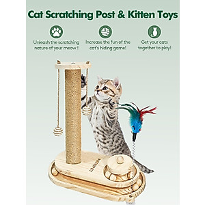 NZONPET Cat Scratching Post 16.54" Tall Scratch Post Premium Sisal Rope Scratch Posts for Kitten and Adult Cats All Natural Rope Wooden Ball Track Interactive Toy with Dangling Ball